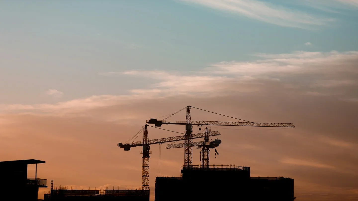 Bouncing back - Cranes Today