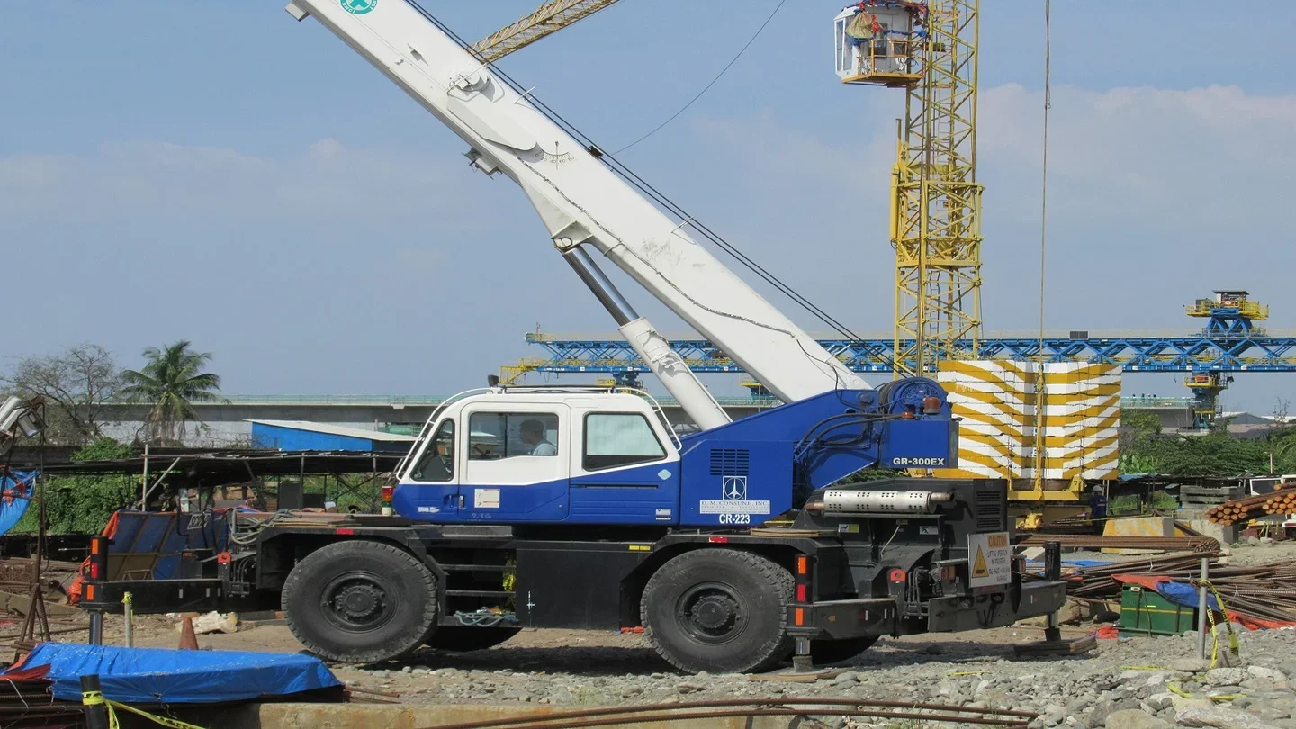 Evolution in the east - Cranes Today