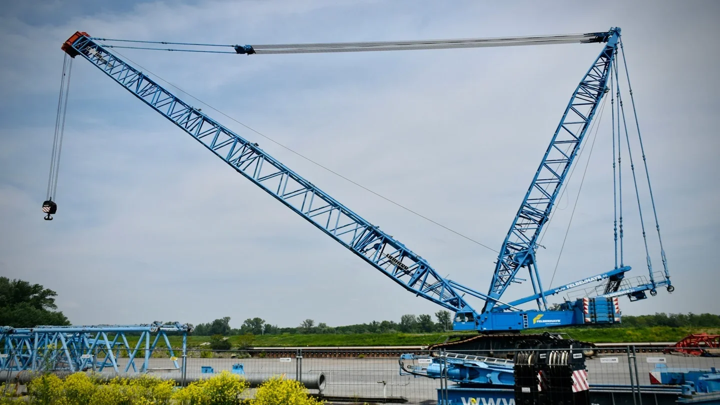 LEEA sets date for #GLAD2024 - Cranes Today